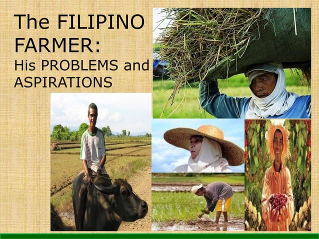 The Profile of the Filipino Farmer | PPTX | Agriculture | Industries