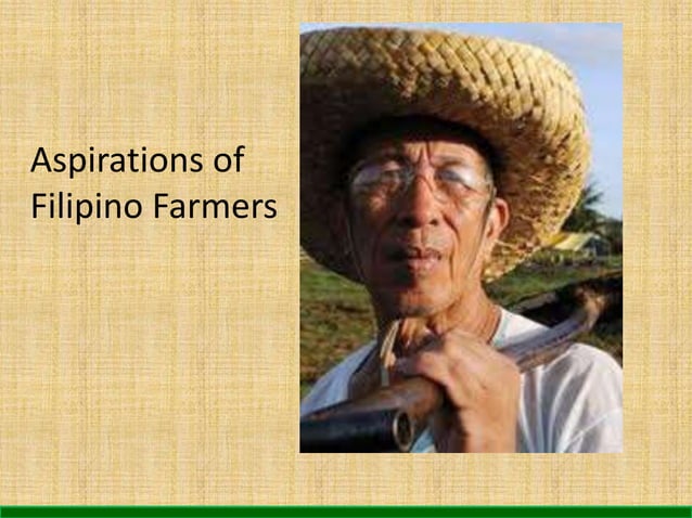 The Profile of the Filipino Farmer | PPTX | Agriculture | Industries