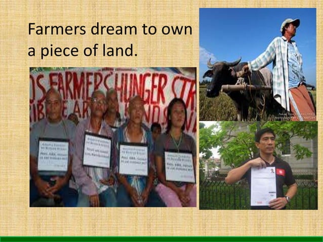 The Profile of the Filipino Farmer | PPTX | Agriculture | Industries