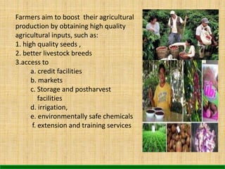 The Profile of the Filipino Farmer | PPTX