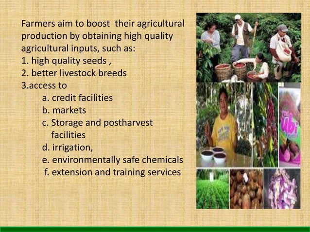 The Profile of the Filipino Farmer | PPTX | Agriculture | Industries