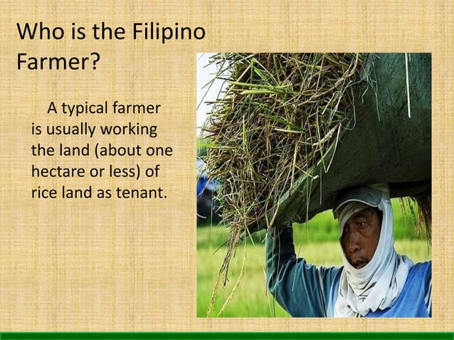 The Profile of the Filipino Farmer | PPTX | Agriculture | Industries