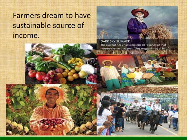 The Profile of the Filipino Farmer | PPTX | Agriculture | Industries