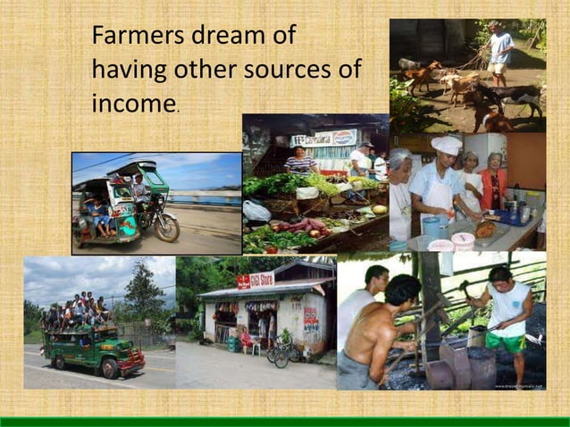The Profile of the Filipino Farmer | PPTX | Agriculture | Industries
