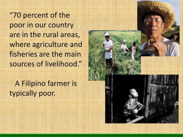 The Profile of the Filipino Farmer | PPTX | Agriculture | Industries