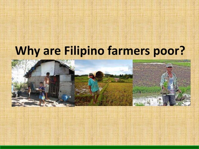 The Profile of the Filipino Farmer | PPTX | Agriculture | Industries