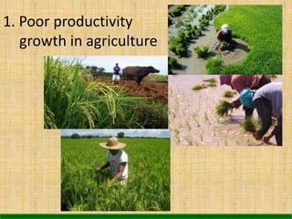 The Profile of the Filipino Farmer | PPTX