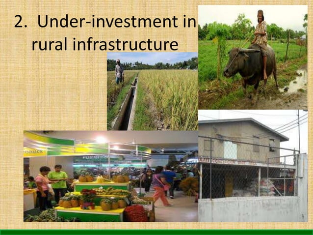 The Profile of the Filipino Farmer | PPTX | Agriculture | Industries