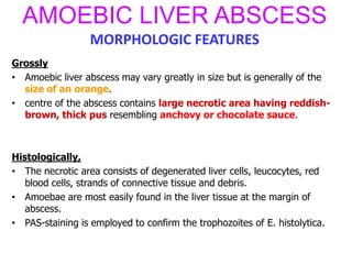 LIVER & GALLBLADDER PATHOLOGY | PPTX