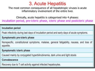 THE LIVER: ACUTE & CHRONIC HEPATITIS | PPTX