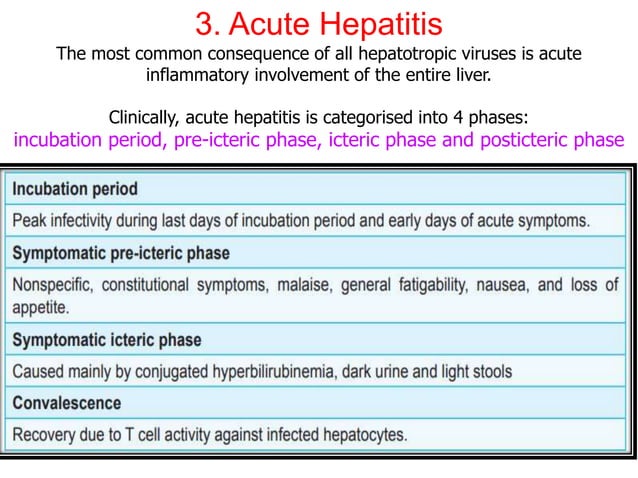 THE LIVER: ACUTE & CHRONIC HEPATITIS | PPTX