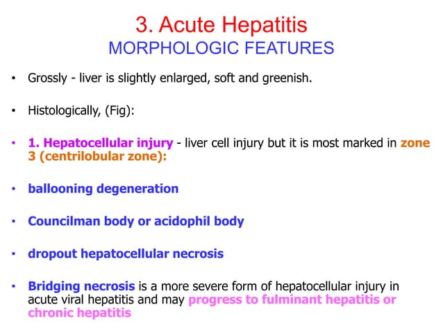 THE LIVER: ACUTE & CHRONIC HEPATITIS | PPTX