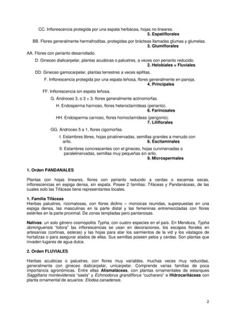 9. Monocotiledoneas Glumiflorales | PDF