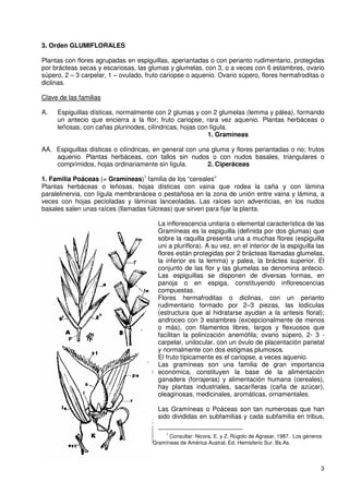 9. Monocotiledoneas Glumiflorales | PDF
