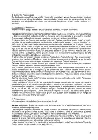 9. Monocotiledoneas Glumiflorales | PDF