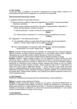 9. Monocotiledoneas Glumiflorales | PDF