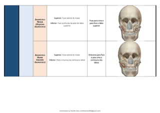 9-muscles-resumo-musculos.pdf