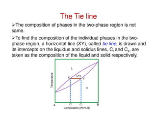 9 -phase_diagrams | PPT