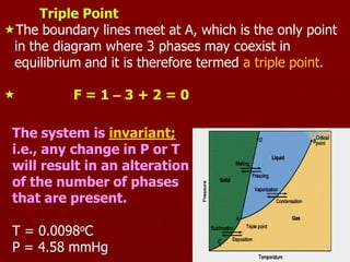 9 phase equilibrium | PPT