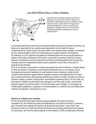 9.proteínas en la vida animal | DOCX