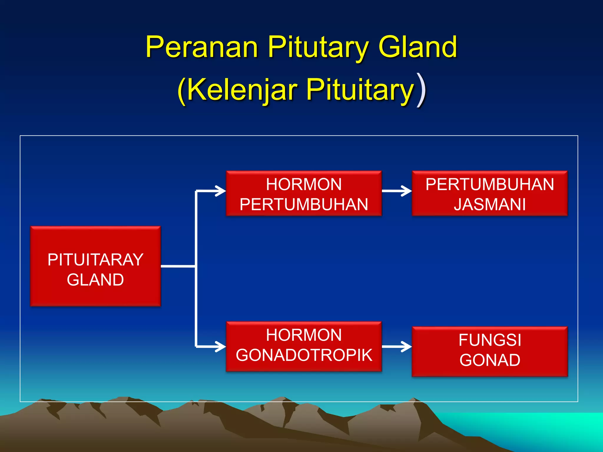 9-pubertas.ppt