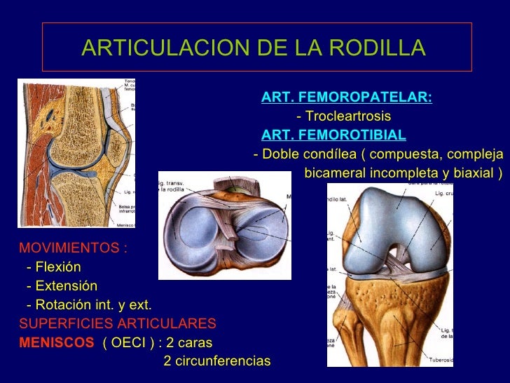 9 Rodilla Pierna