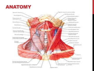 SELECTIVE NECK DISSECTION | PPTX