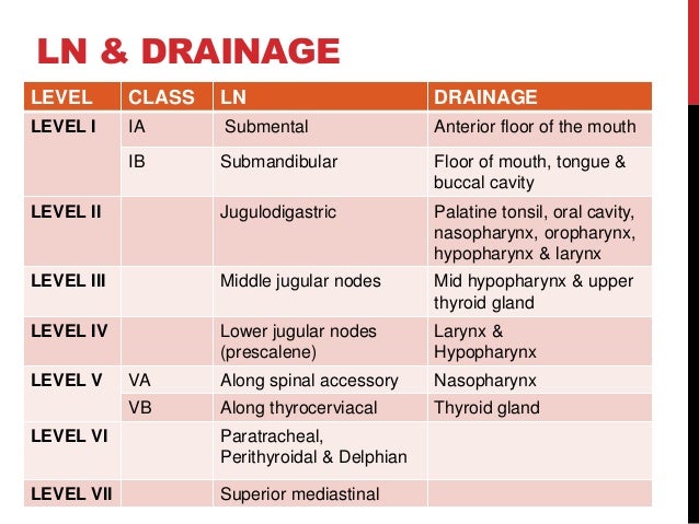 SELECTIVE NECK DISSECTION
