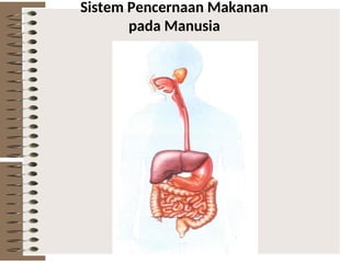 9-sistem-pencernaan-sahid-kusuma-solo-nk.ppt