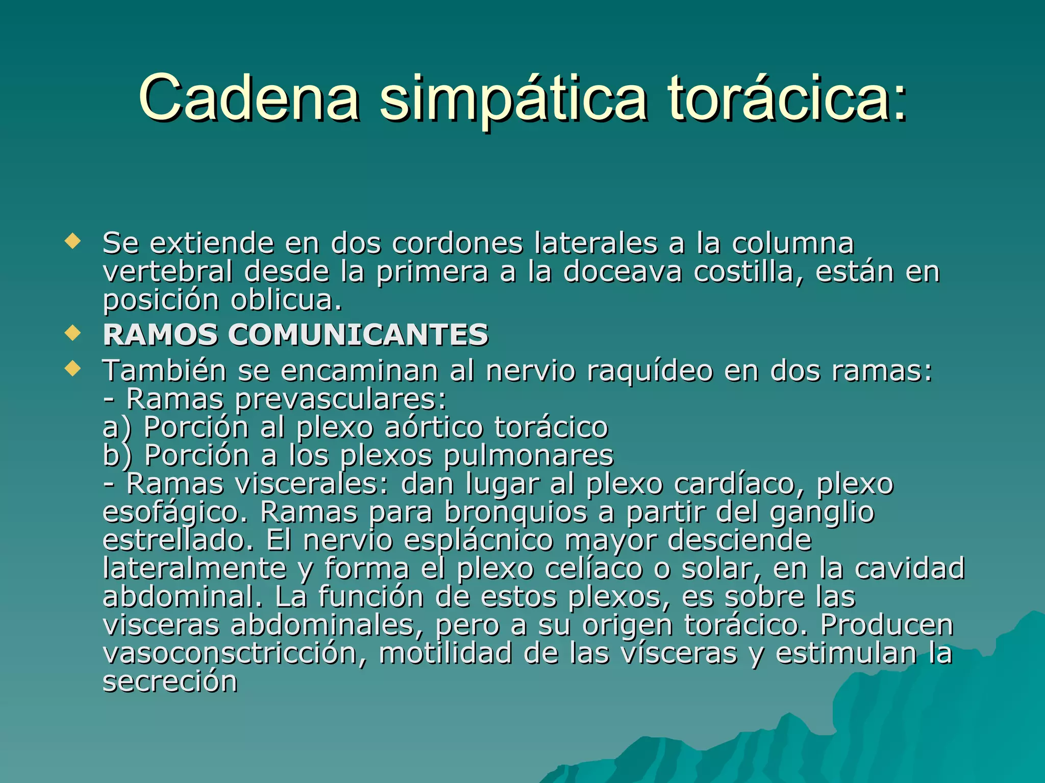 9. Sistema Nervioso Autonomo | PPT