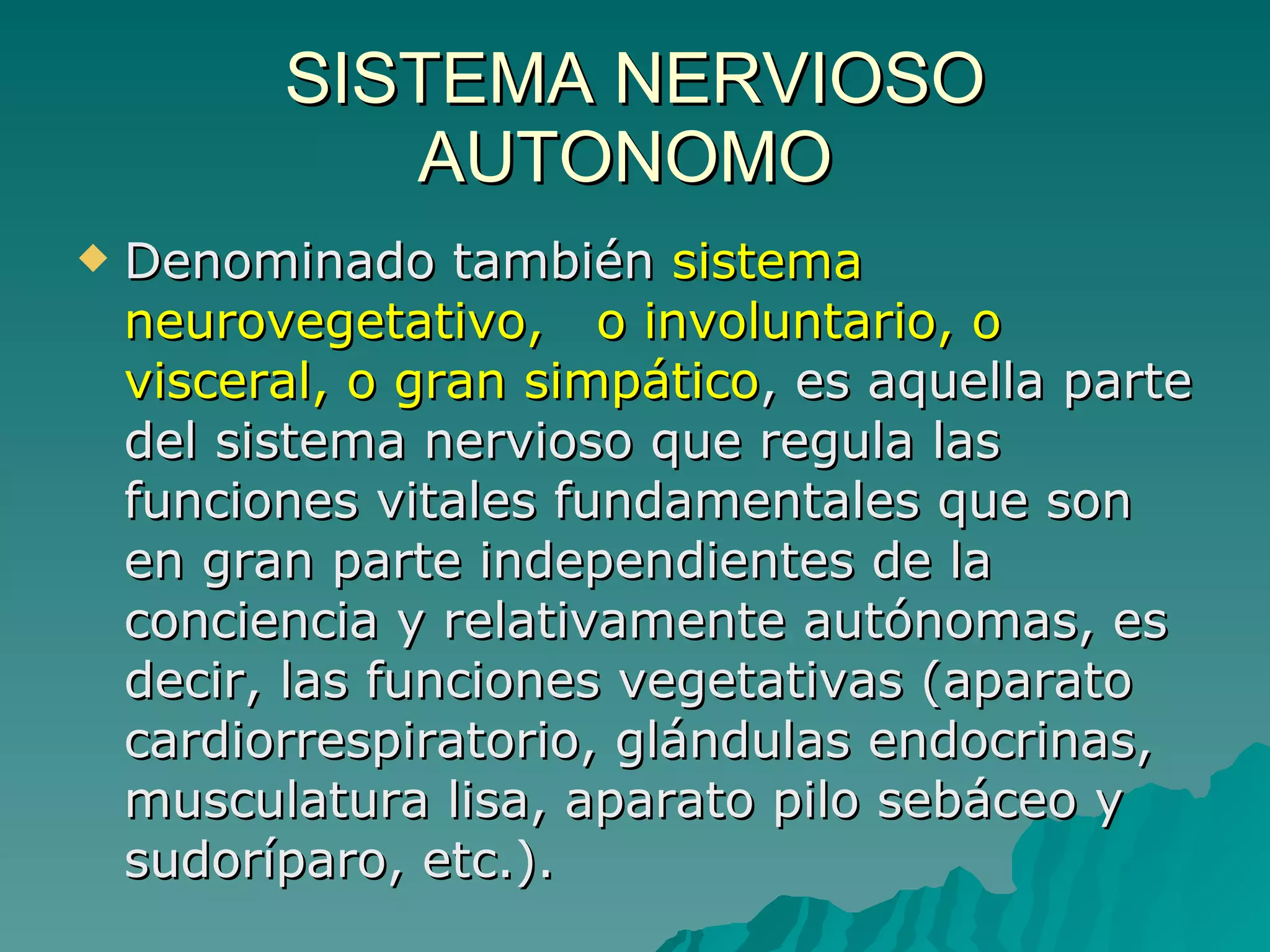 9. Sistema Nervioso Autonomo | PPT