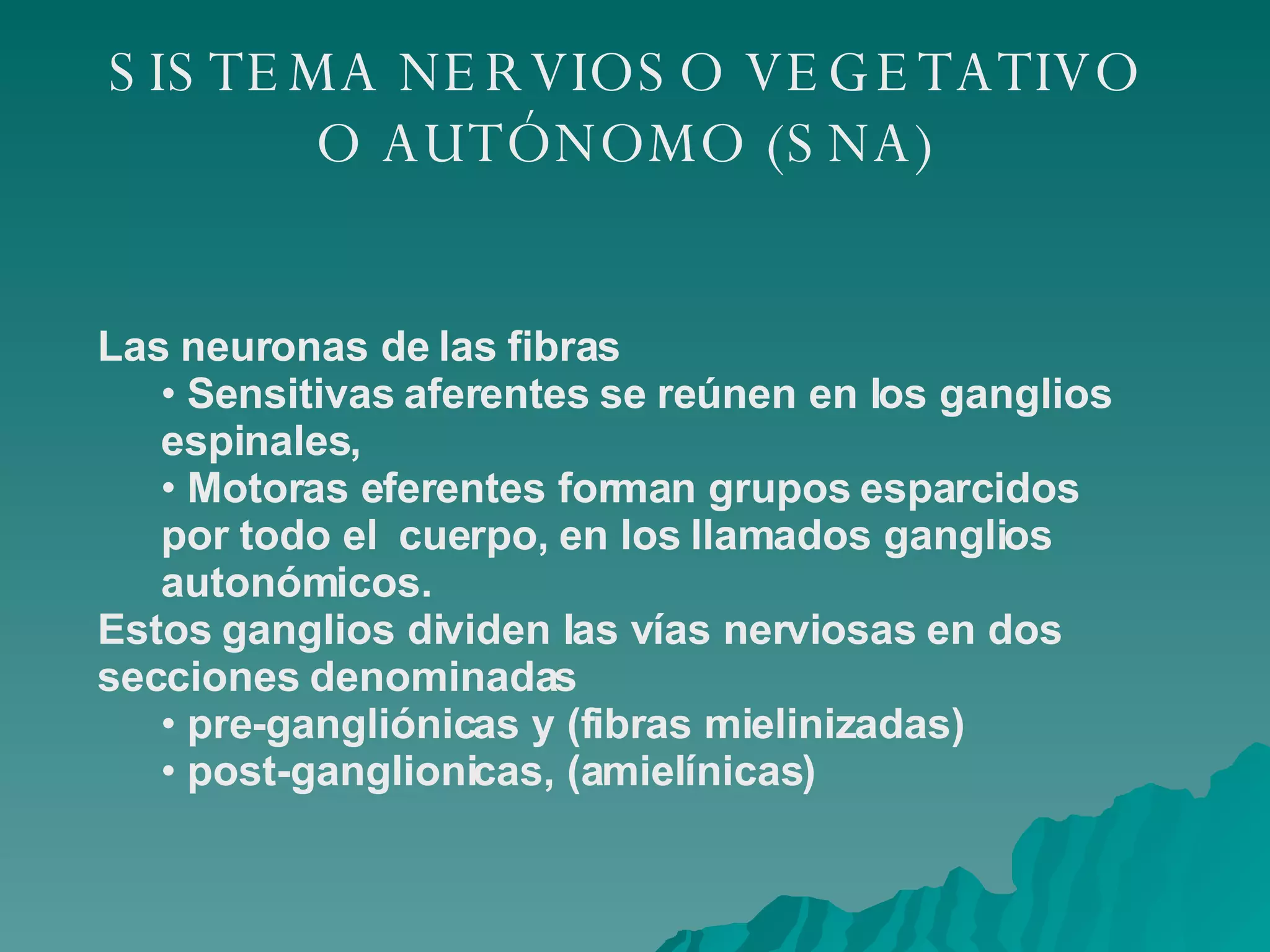 9. Sistema Nervioso Autonomo | PPT