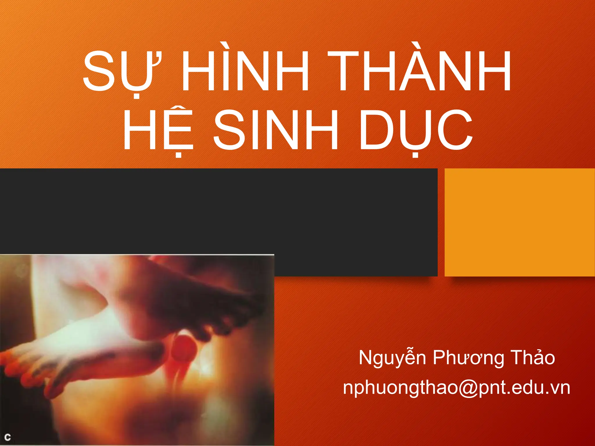 9-su hinh thanh he sinh duc 2022-2023.pptx