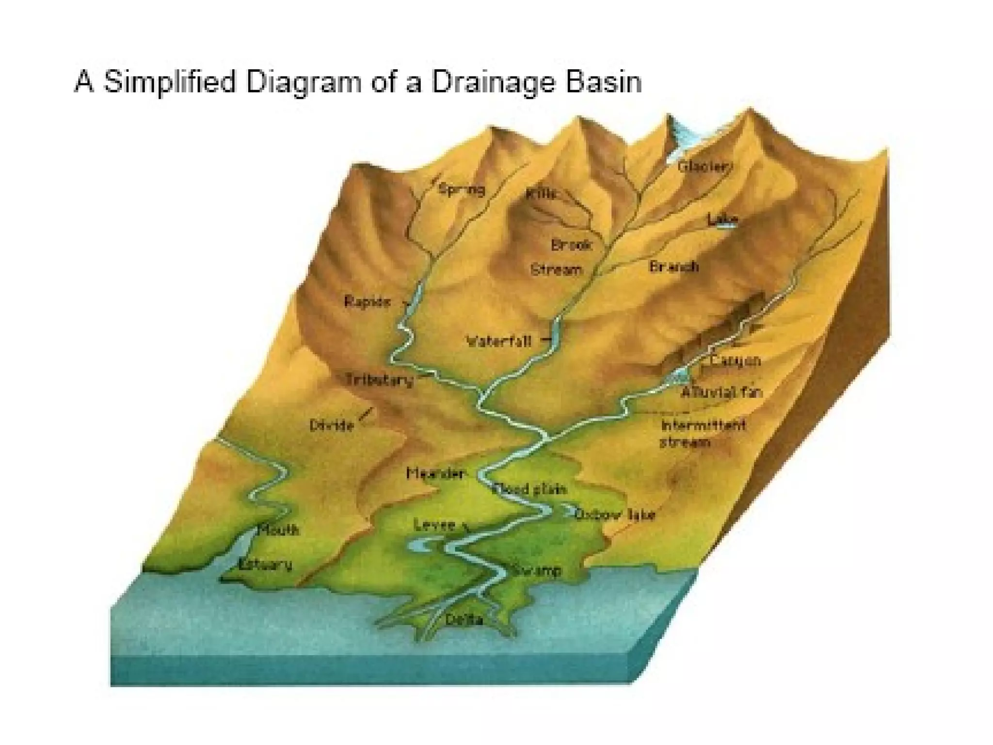 9 The Drainage Basin | PPT