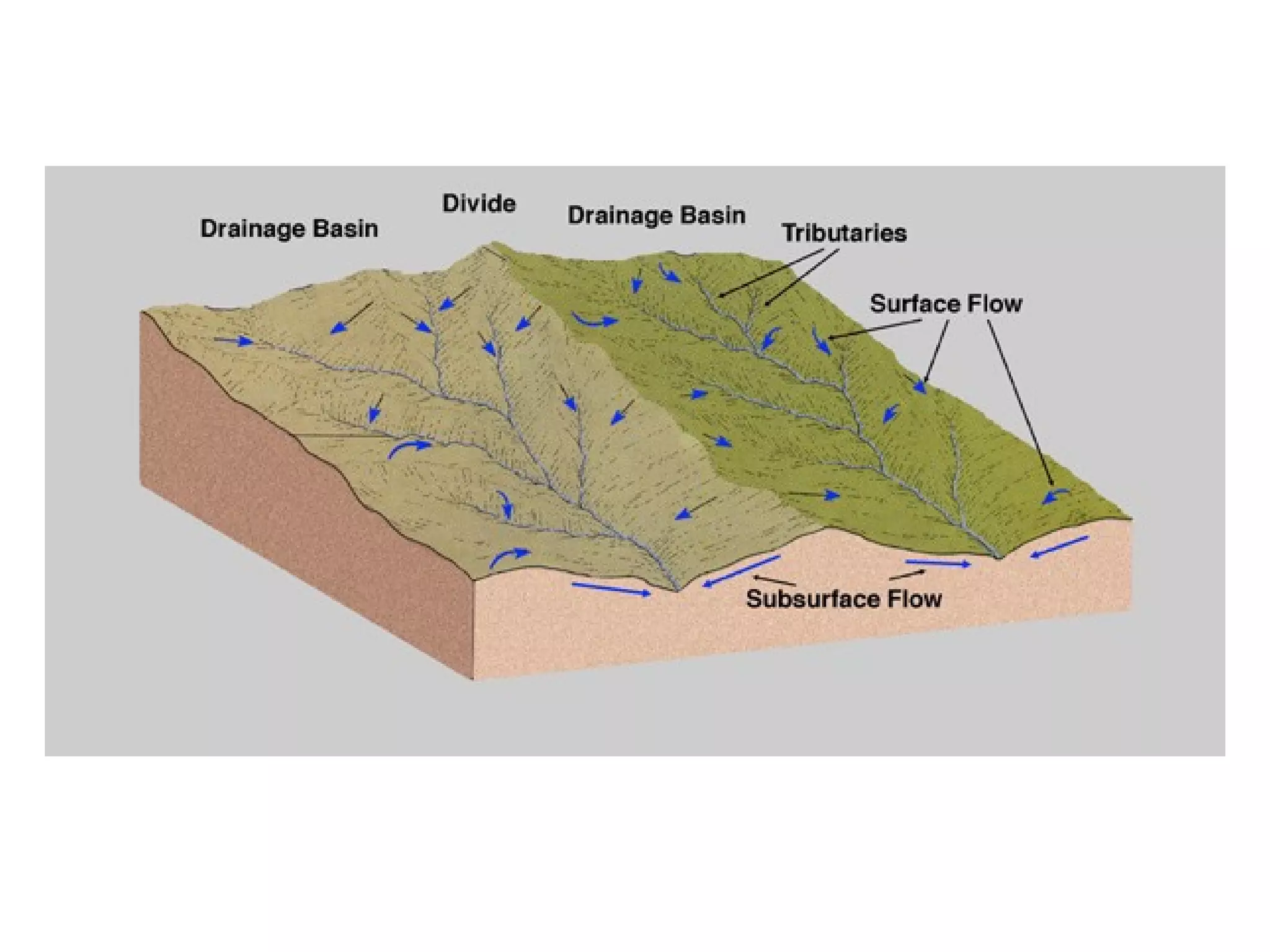 9 The Drainage Basin | PPT