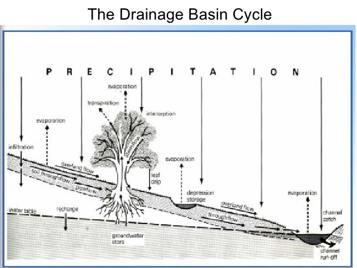 9 The Drainage Basin