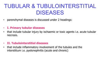 THE KIDNEY: TUBULAR & TUBULOINTERSTITIAL DISEASES | PPTX