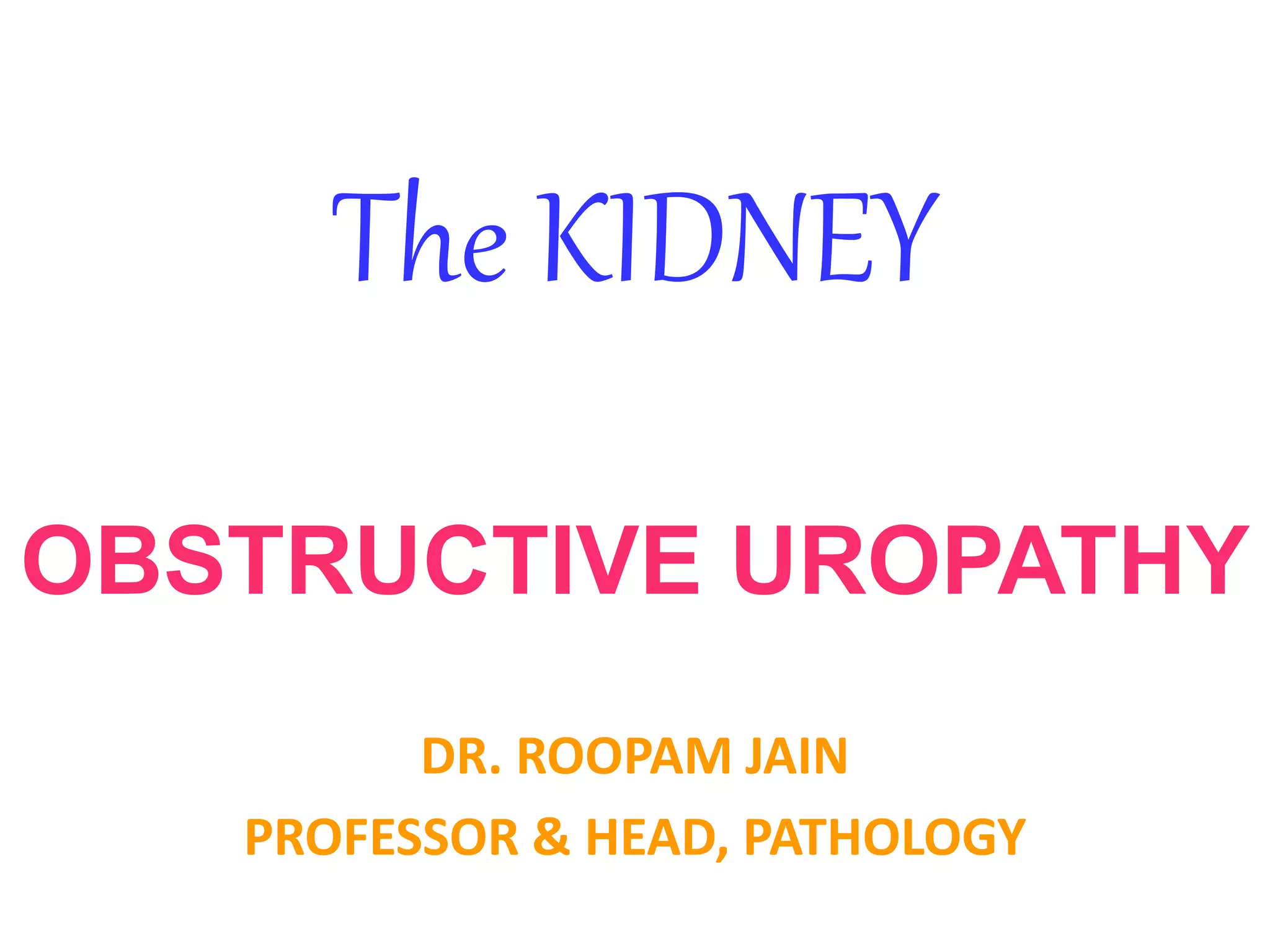 The Kidney: OBSTRUCTIVE UROPATHY | PPTX