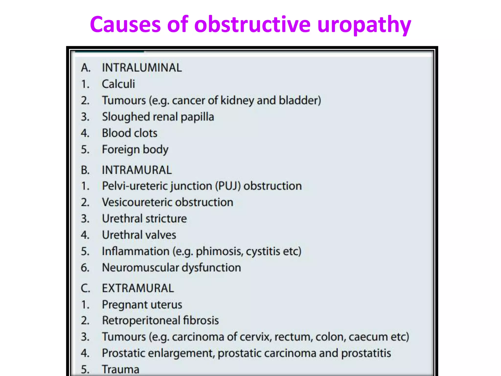 The Kidney: OBSTRUCTIVE UROPATHY | PPTX