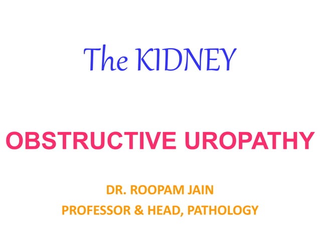 The Kidney: OBSTRUCTIVE UROPATHY | PPTX | Digestive Disorders ...