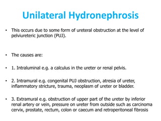 The Kidney: OBSTRUCTIVE UROPATHY | PPTX