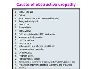 The Kidney: OBSTRUCTIVE UROPATHY | PPTX