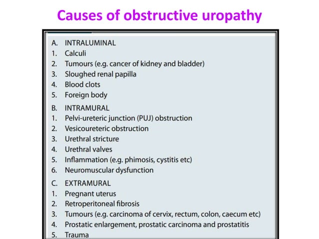 The Kidney: OBSTRUCTIVE UROPATHY | PPTX | Digestive Disorders ...