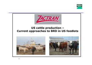 9. us cattel production current approaches to brd in us feedlots | PPT