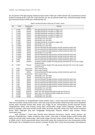 9 yusmani - karakter p.leccani | PDF