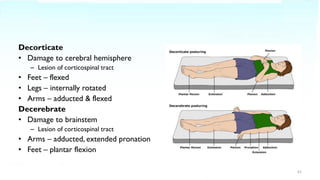 History & Physical Examination in OBGYN | PDF