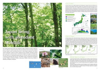 The Wildlife in Japan.pdf