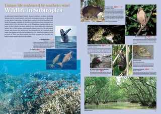 The Wildlife in Japan.pdf