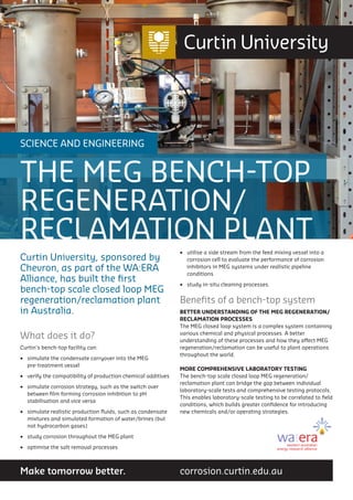 MEG Plant Flyer | PDF