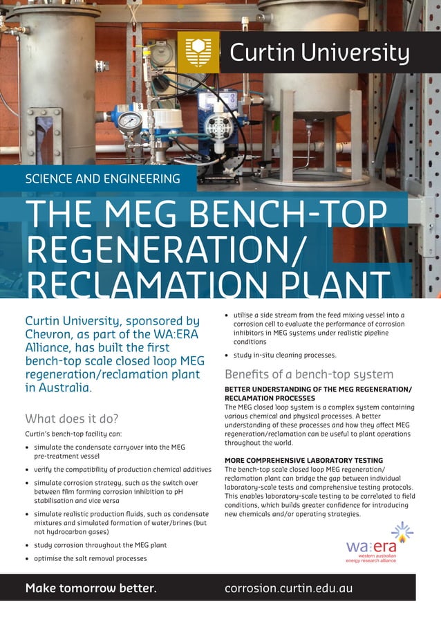 MEG Plant Flyer | PDF | Chemistry | Science